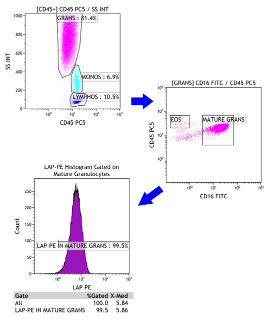 Leukocyte alkaline phosphatase (LAP) by flow cytometry | Medical ...