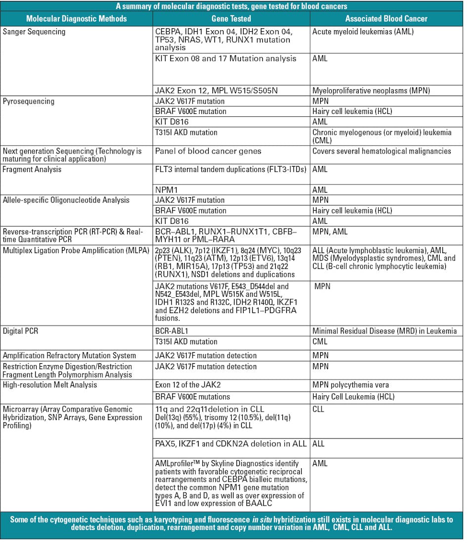 Types of blood cancers—and the new molecular diagnostics | Medical ...