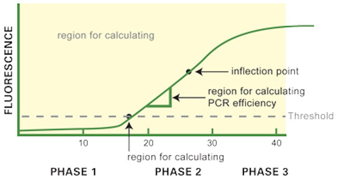 Interpretation of qPCR curve shapes | Medical Laboratory Observer