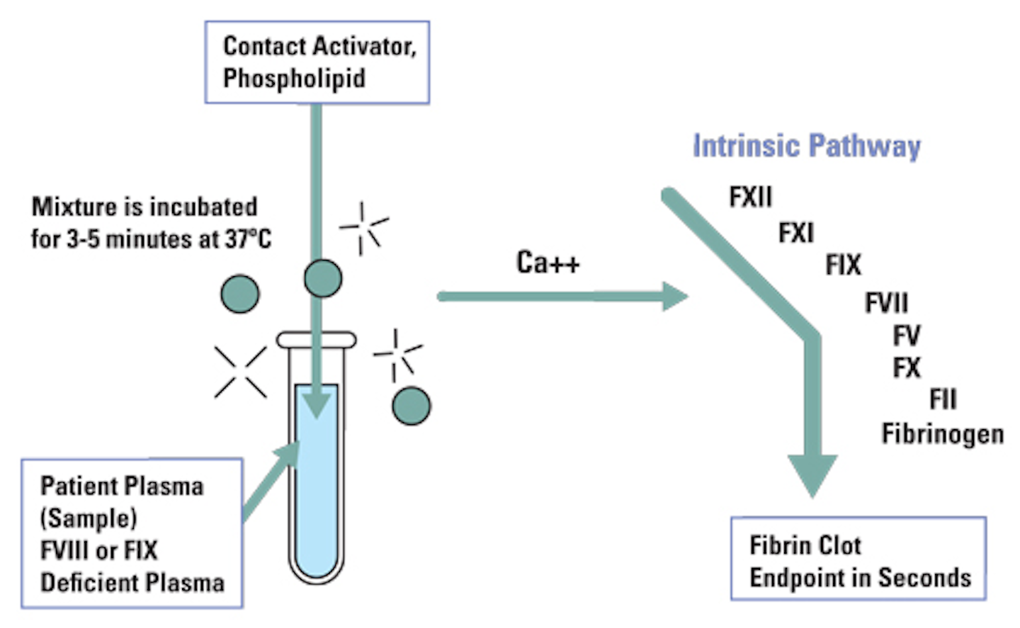 The value of the chromogenic activity assay in diagnosis and ...