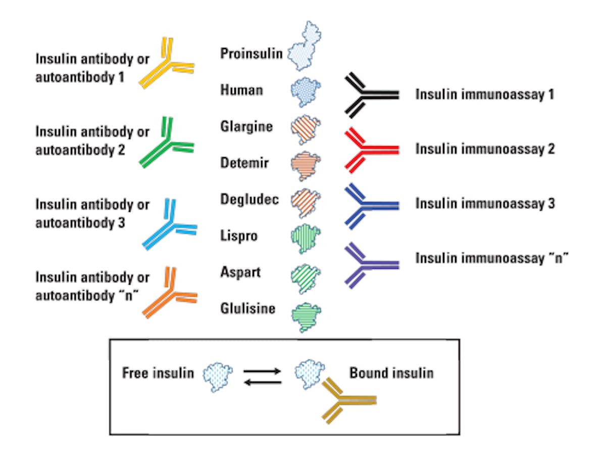 Insulin, insulin antibodies and insulin autoantibodies | Medical ...