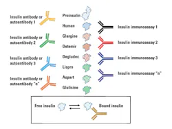 Insulin, insulin antibodies and insulin autoantibodies | Medical ...