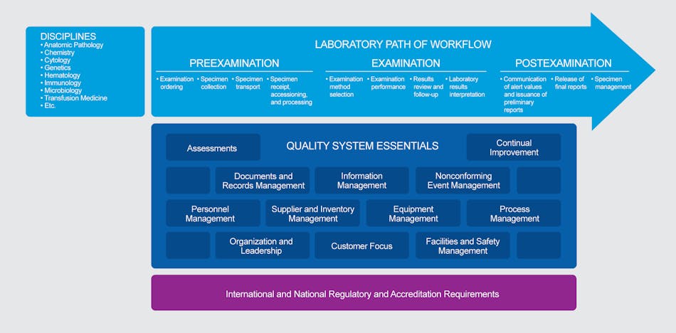 The importance of implementing a quality management system in the ...