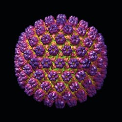 CMV-specific immune system monitoring for management of cytomegalovirus ...