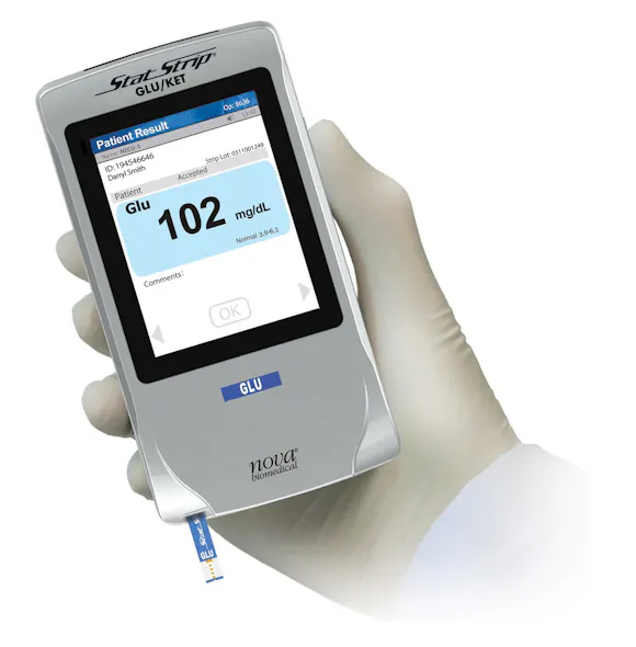 Glucose meters: current regulatory guidance for manufacturers and ...