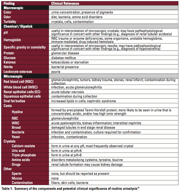 Urinalysis Microscopic Examination Medical Laboratory