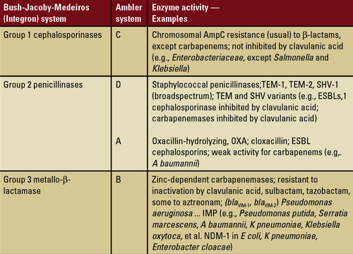 The anarchy of antibiotic resistance: mechanisms of bacterial ...