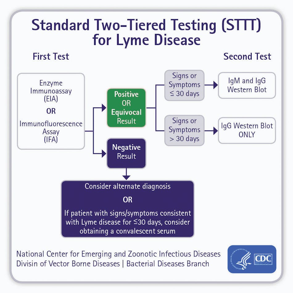 Improved detection of acute Lyme disease with MTTT | Medical Laboratory ...