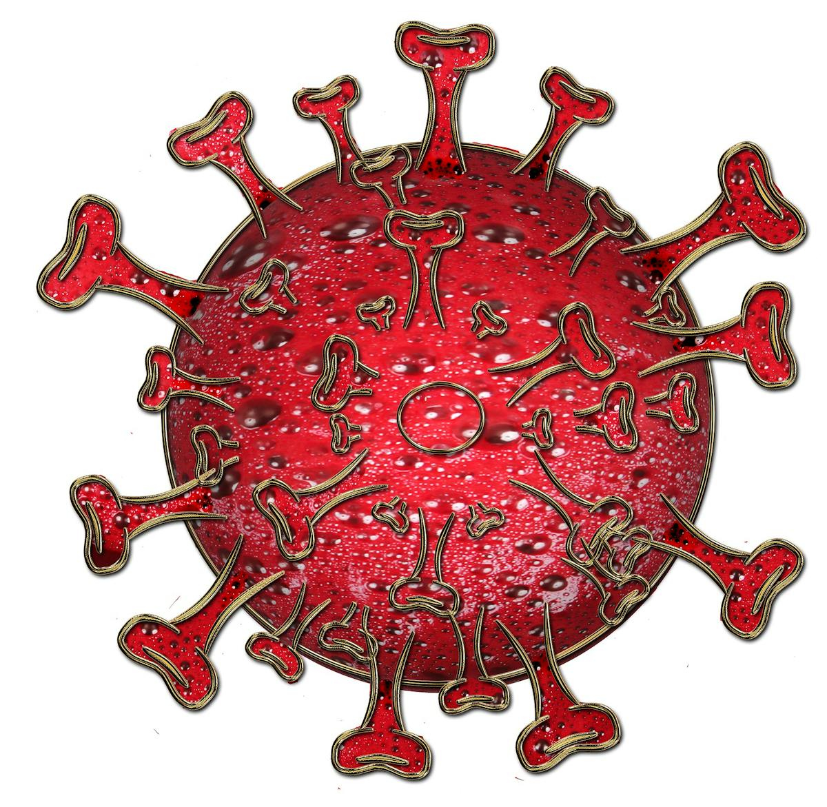 Genalyte obtains FDA EUA for rapid COVID-19 antibody test | Medical ...