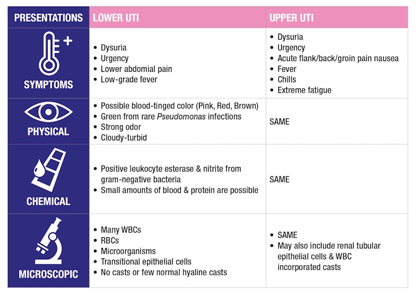 Diagnostic hallmarks of urinary tract infection | Medical Laboratory ...