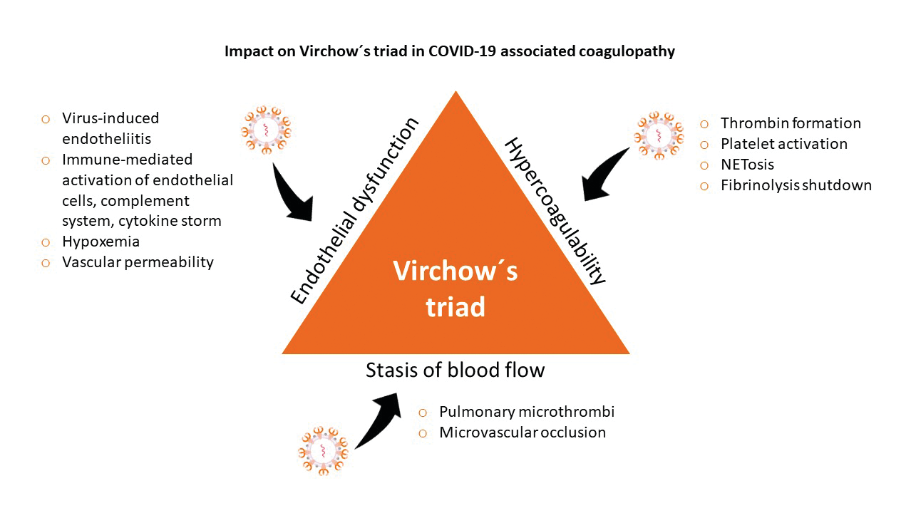 Pathophysiology of COVID-19-associated coagulopathy and its impact on ...