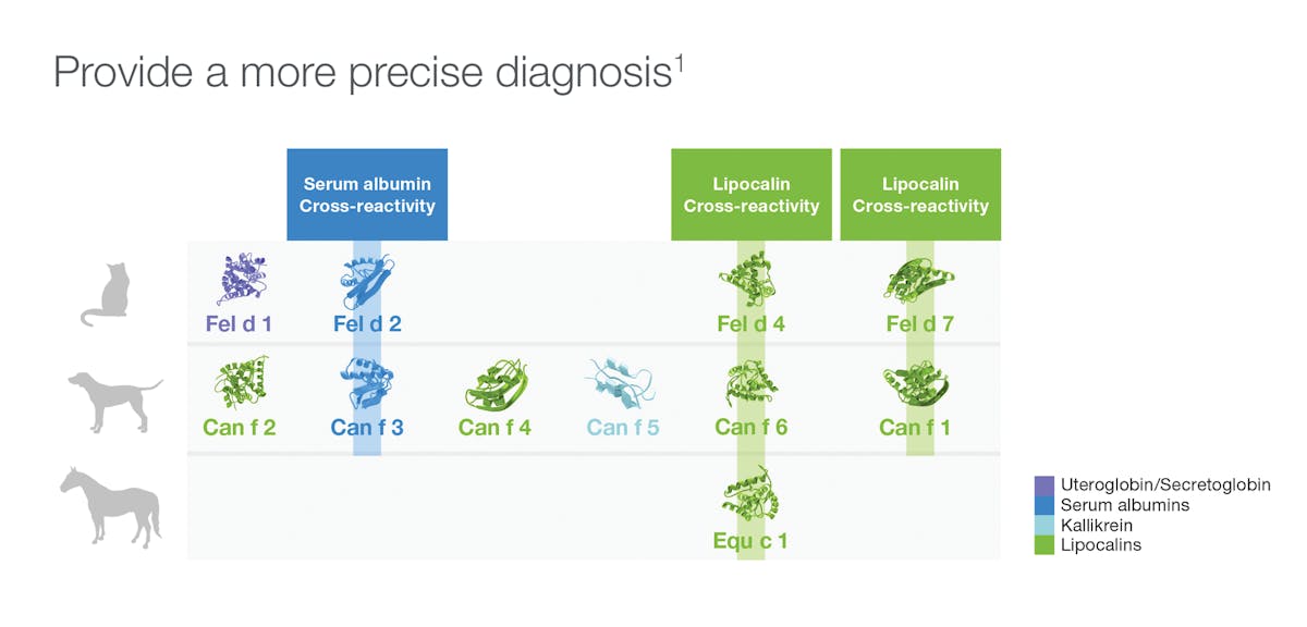 What do cats, dogs, horses, and ticks have in common? Allergenicity and ...