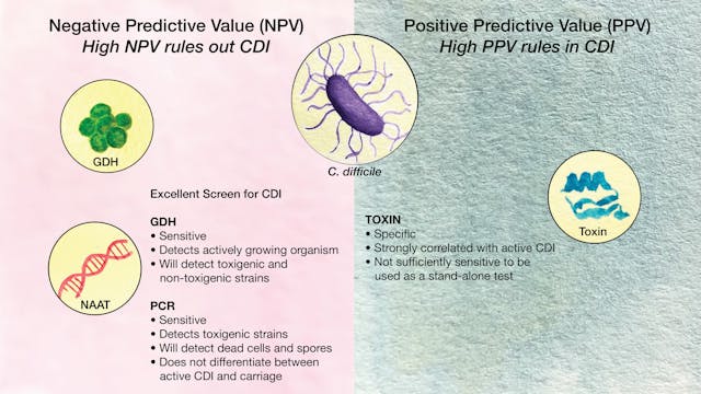 Testing for Clostridioides difficile and its disease | Medical ...