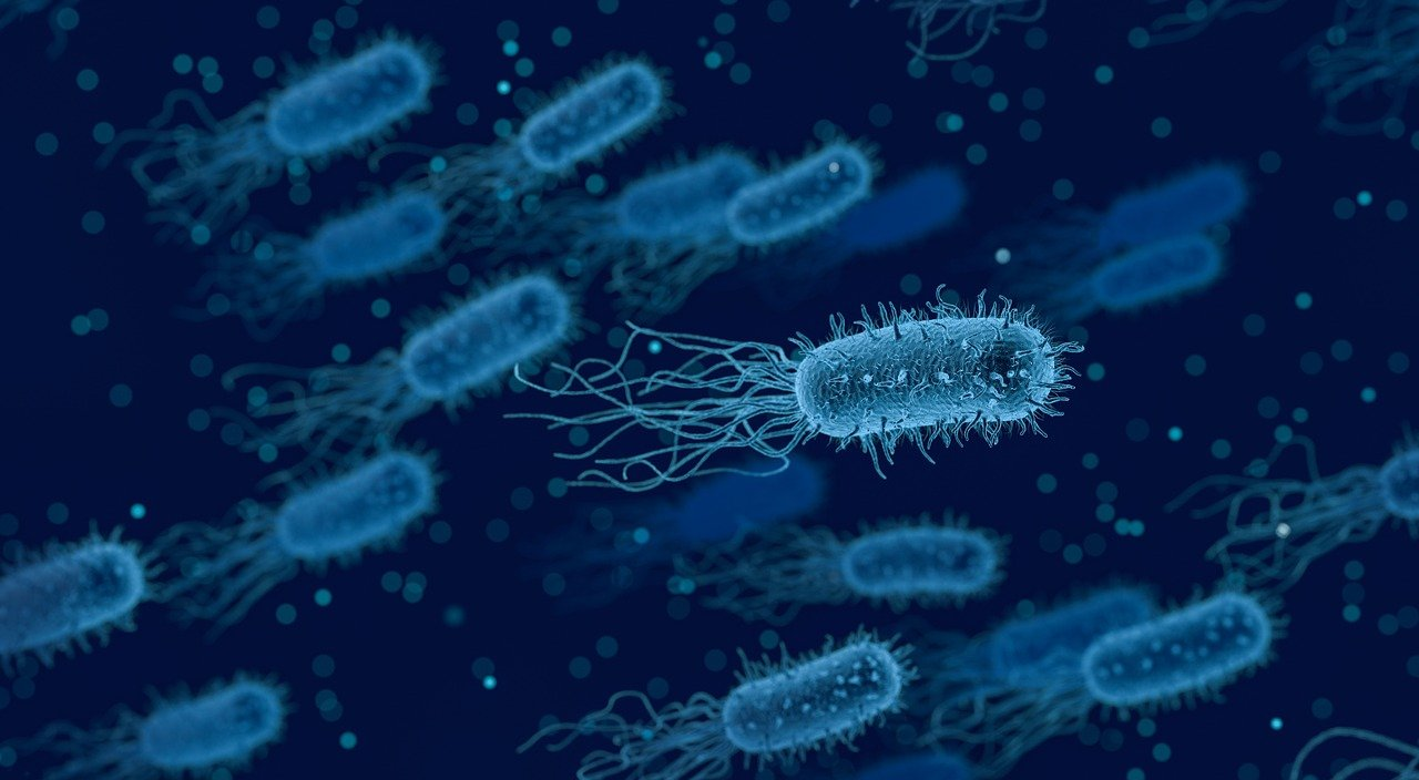 Potential connection between transient bacterial infections and colon ...
