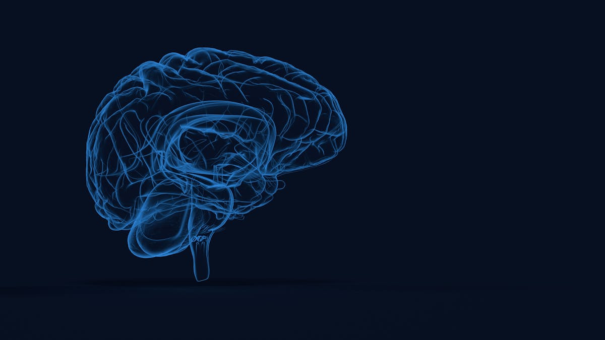 Cellular housekeeping process implicated in fatal neurological disorder ...