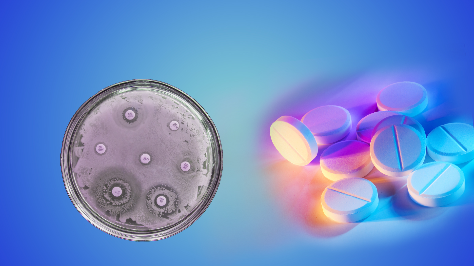 The challenge of antimicrobial resistance for the clinical laboratory ...