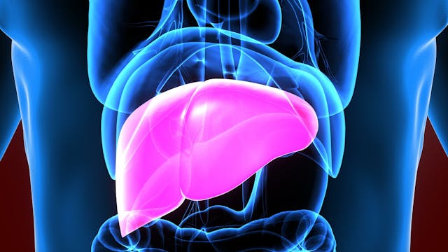 MARS therapy for patients with acute liver failure | Medical Laboratory ...
