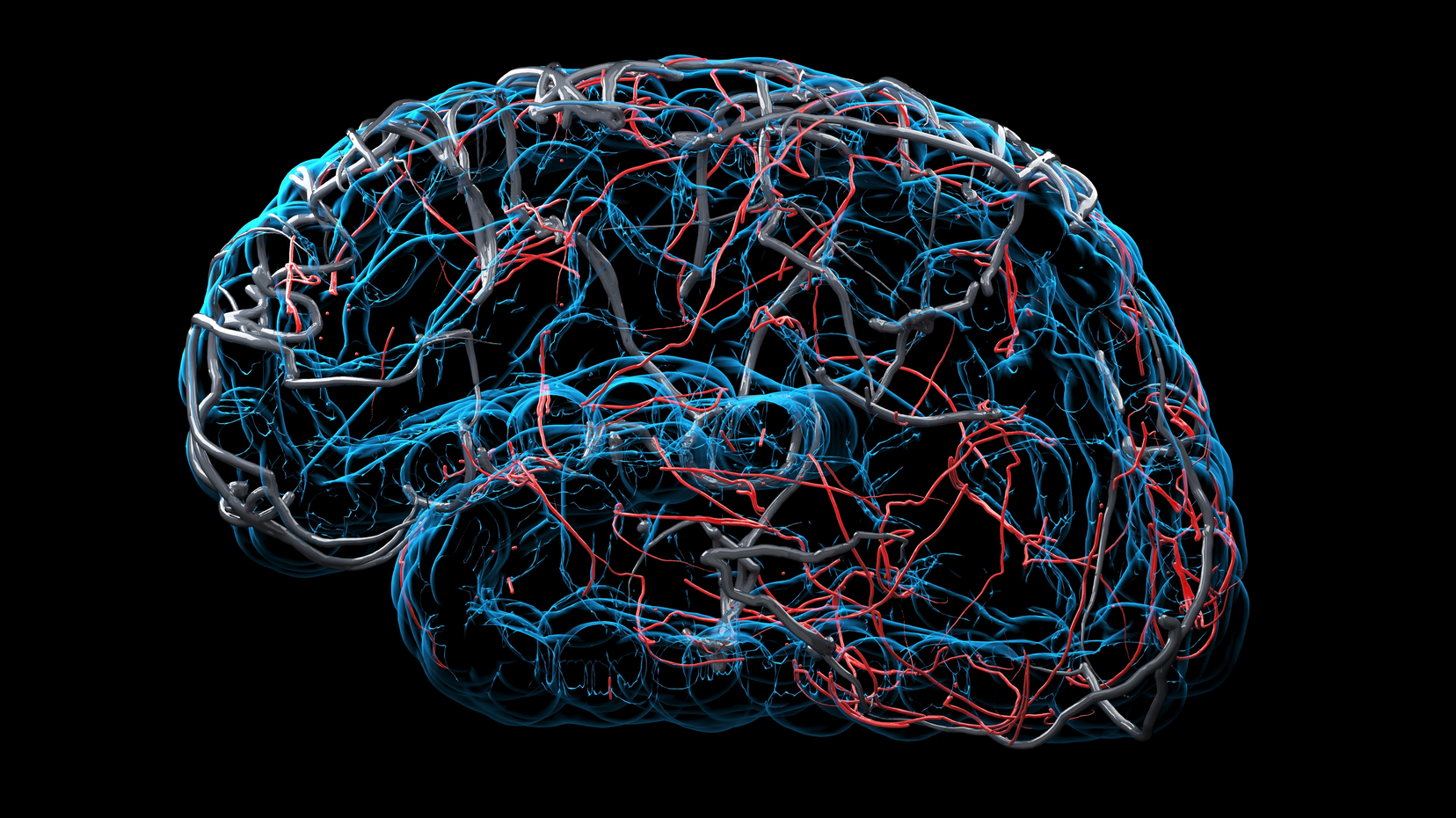 Geometry of the brain, dimensions of the mind | Medical Laboratory Observer
