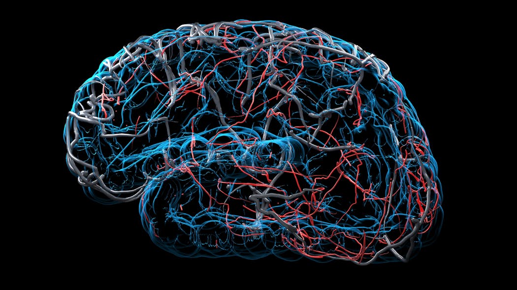 Geometry of the brain, dimensions of the mind | Medical Laboratory Observer