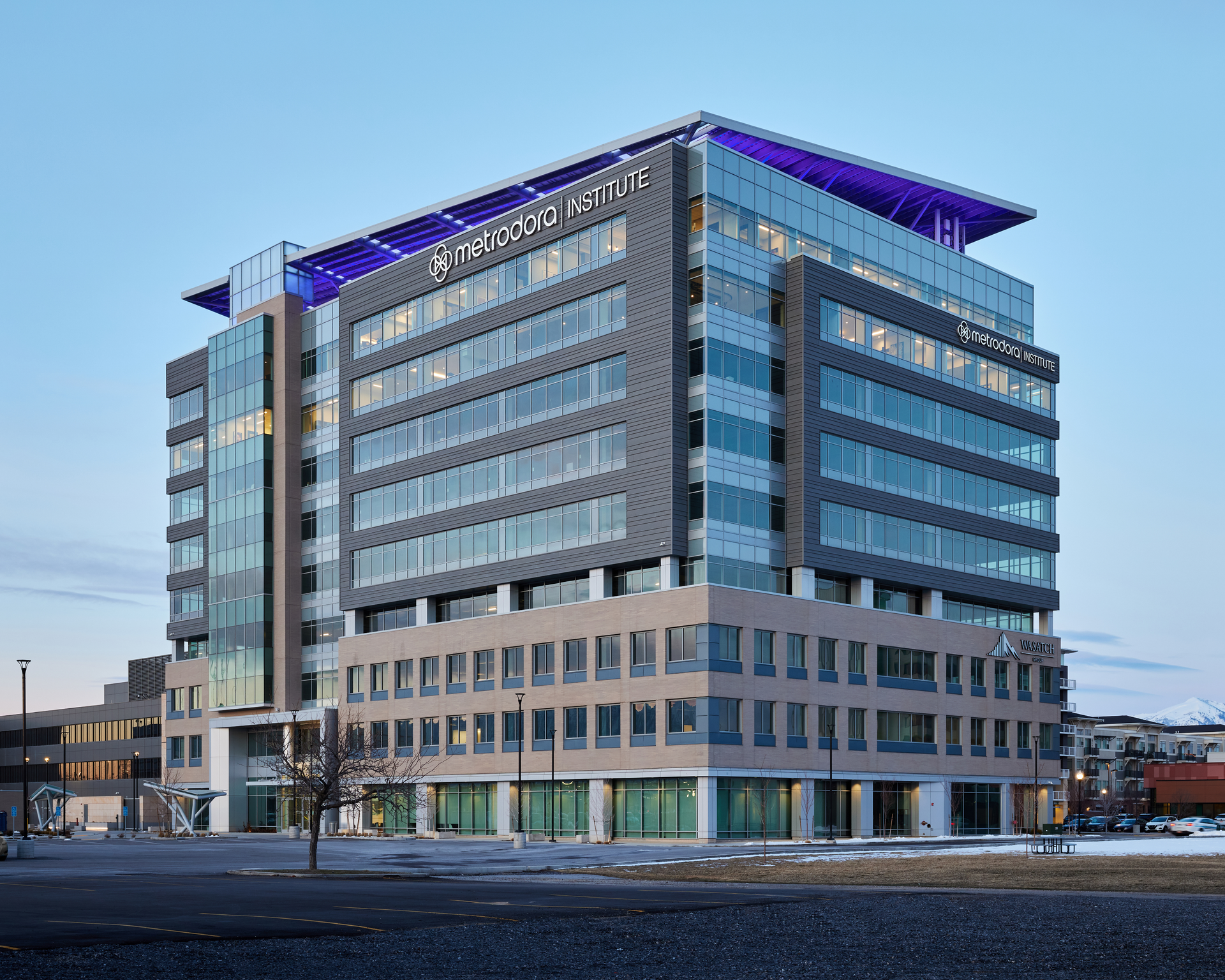 Metrodora Institute launches to advance the treatment of complex ...