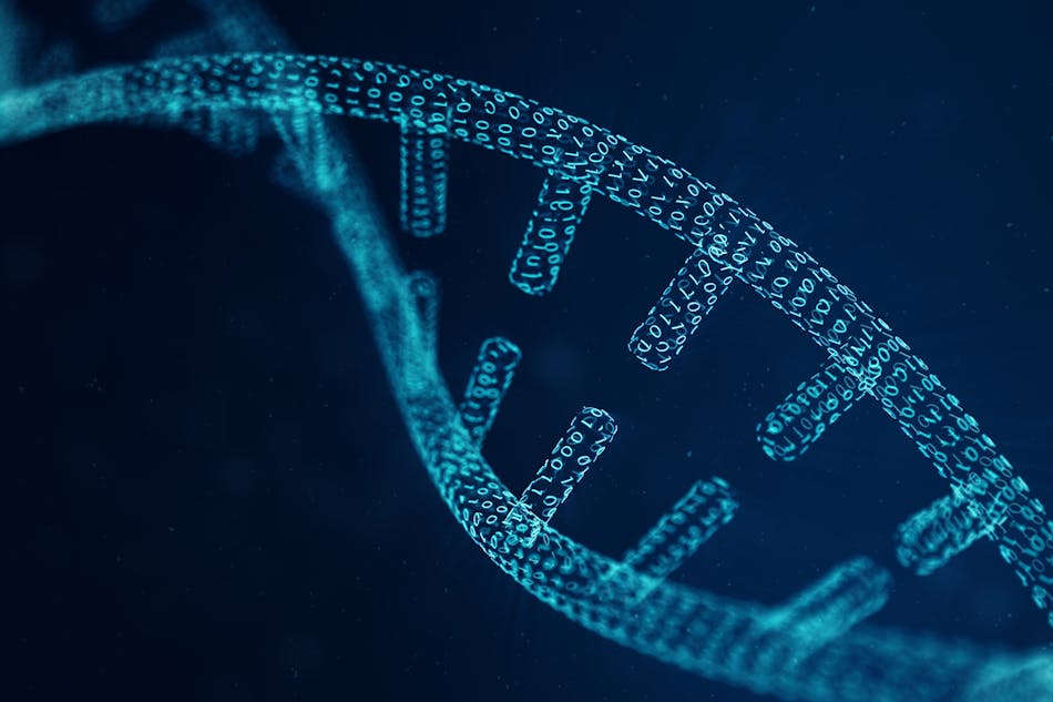 Scientists release a new human “pangenome” reference | Medical ...