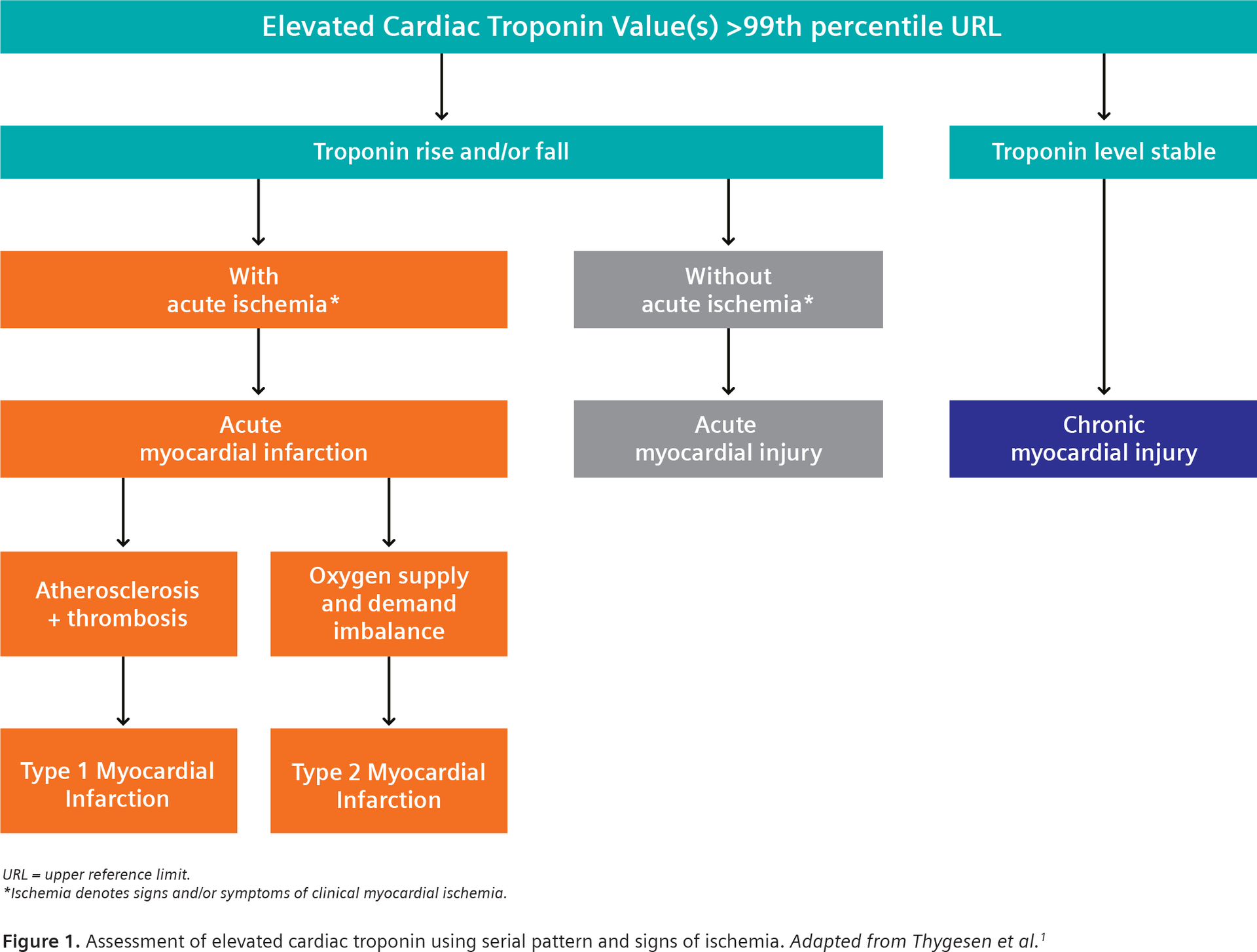 The ongoing troponin conundrum: Understanding an elevated troponin ...