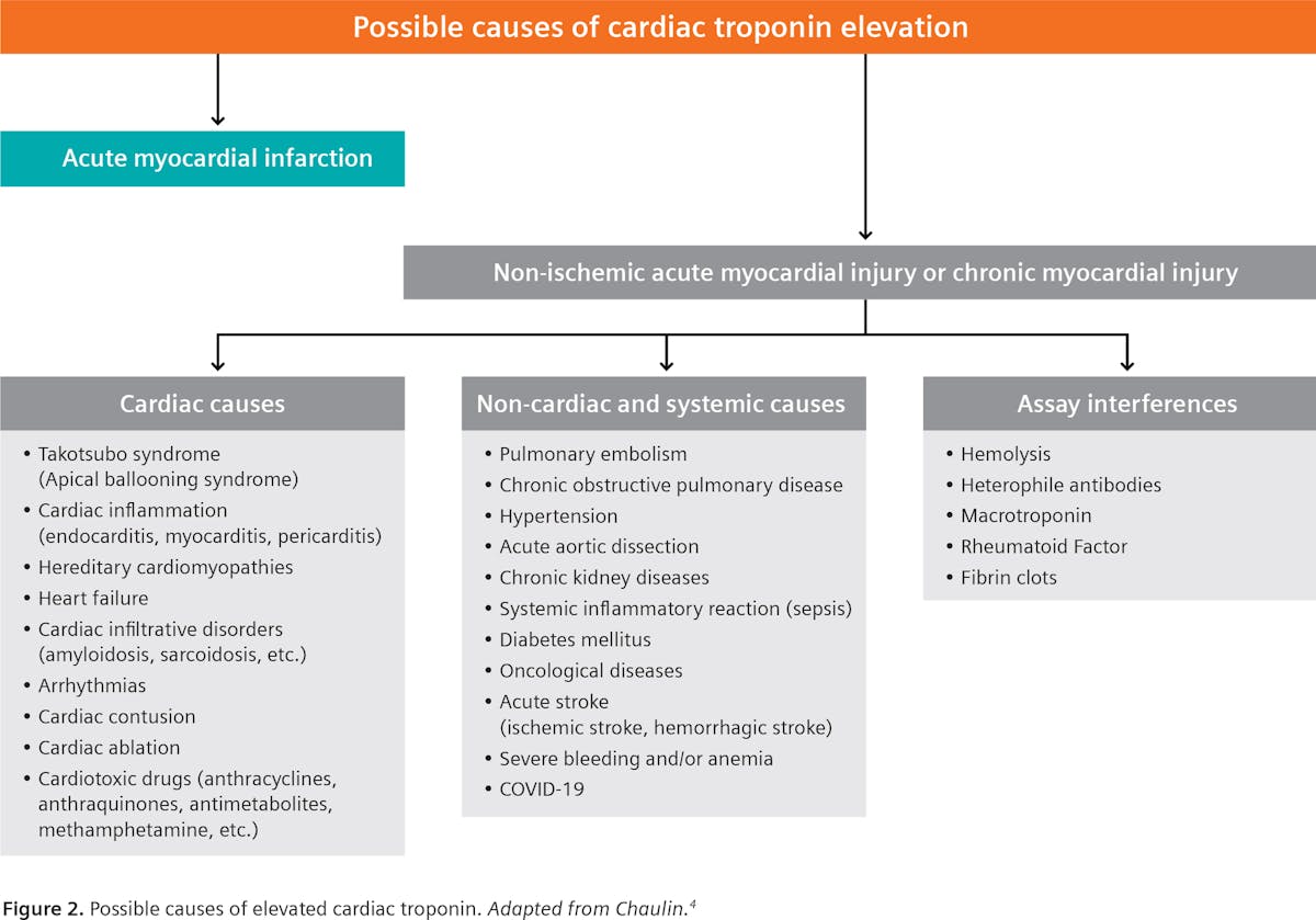The ongoing troponin conundrum: Understanding an elevated troponin ...