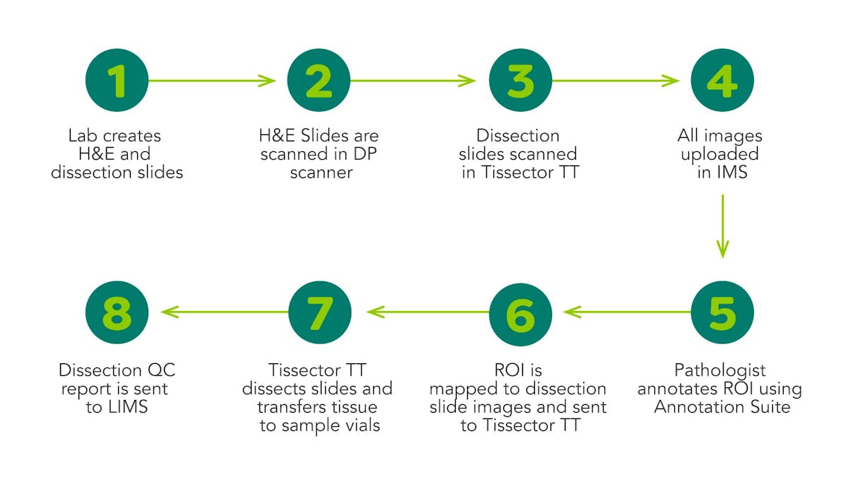 Automating tissue dissection key to personalized medicine | Medical ...