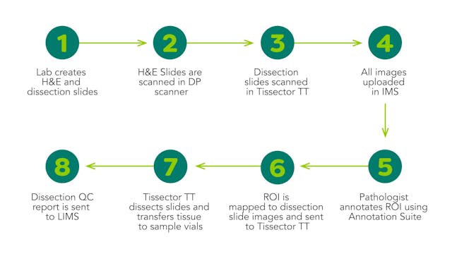 Automating tissue dissection key to personalized medicine | Medical ...