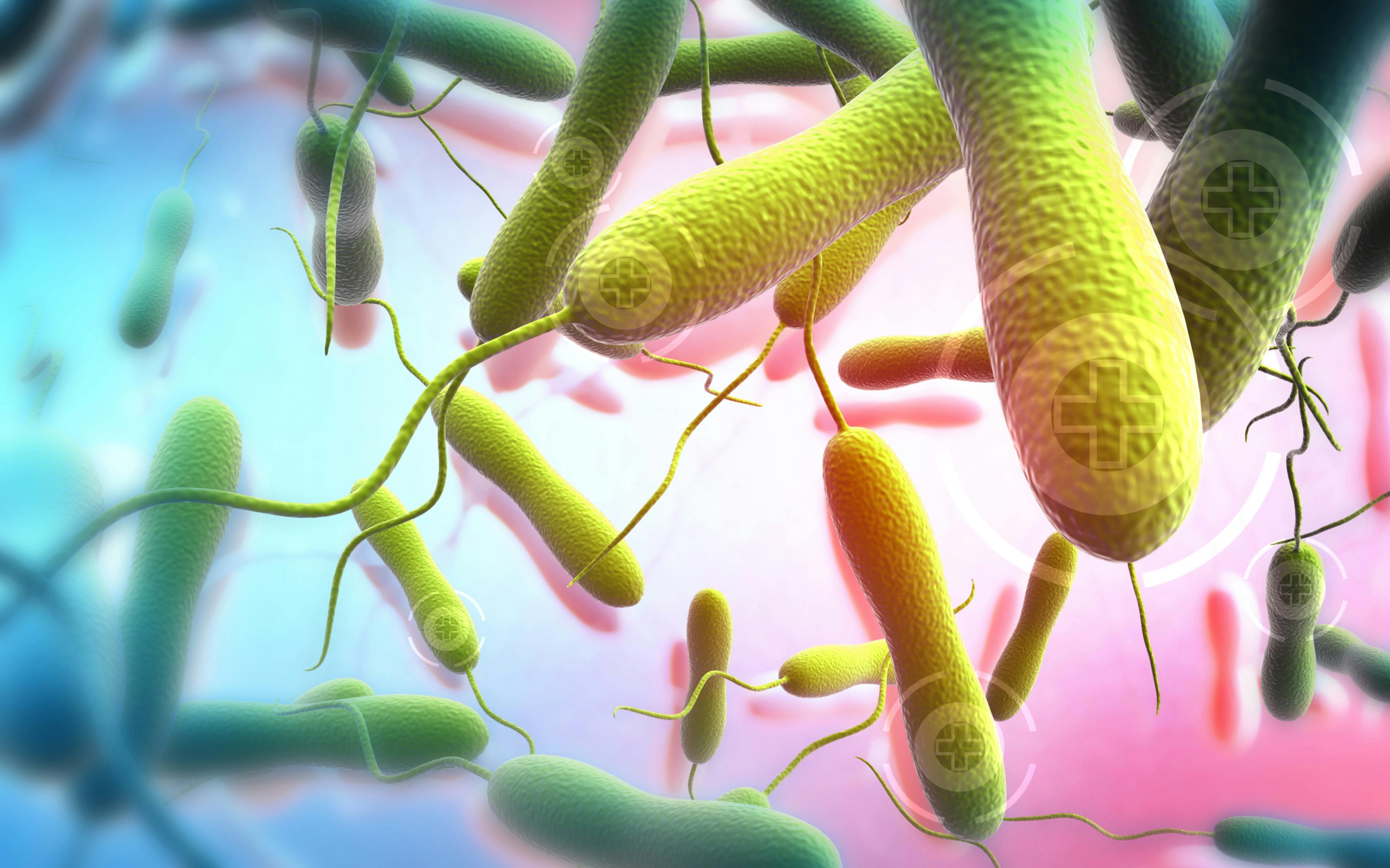 Global deployment of rapid diagnostic tests to boost fight against ...